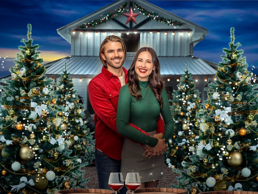 A Perfect Christmas Pairing - Apple TV