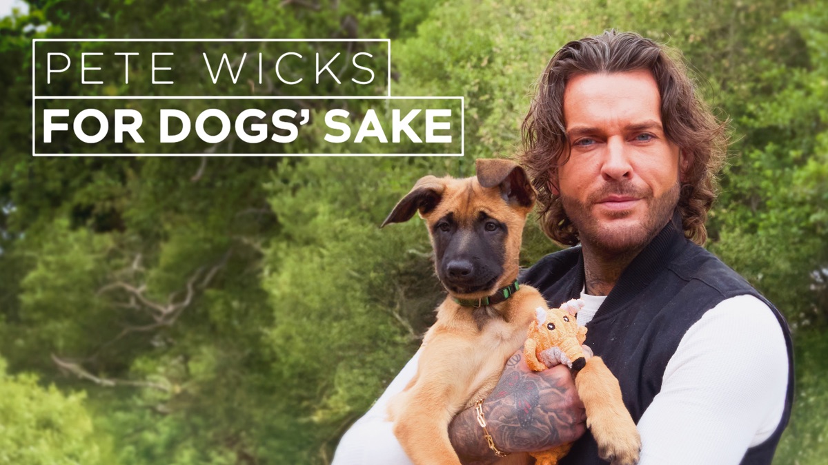 ‎Pete Wicks: For Dogs' Sake - Apple TV