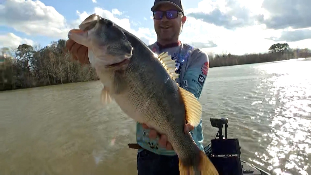 MLF BASS PRO TOUR - STAGE 02 - 2024 - DAVID DUDLEY - JUST CAUGHT: MLF ...