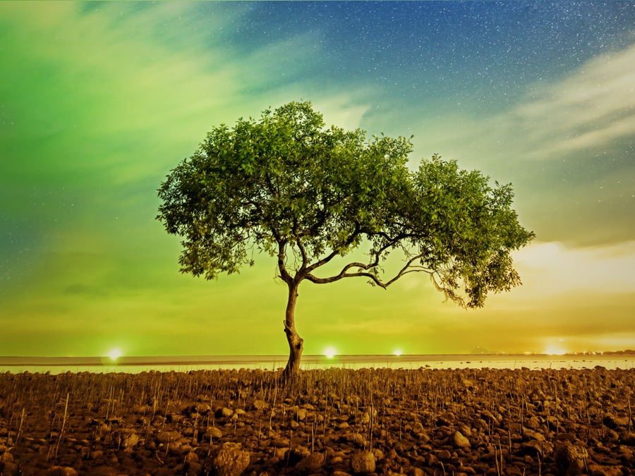 A Perfect Planet - Apple TV