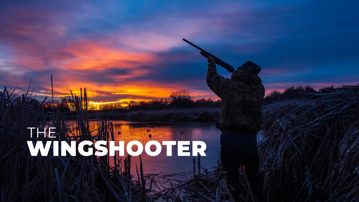 The Wingshooter - Apple TV