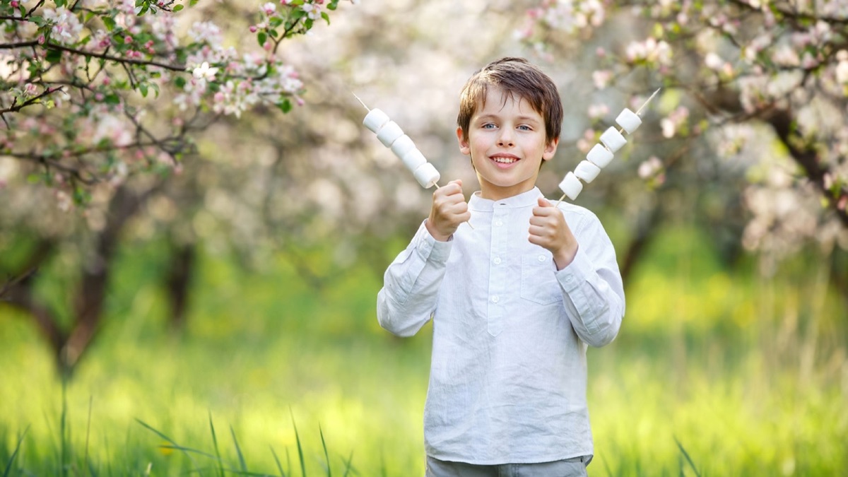 â žmarshmallows Monkeys And Mortality â Scientific Secrets For Self