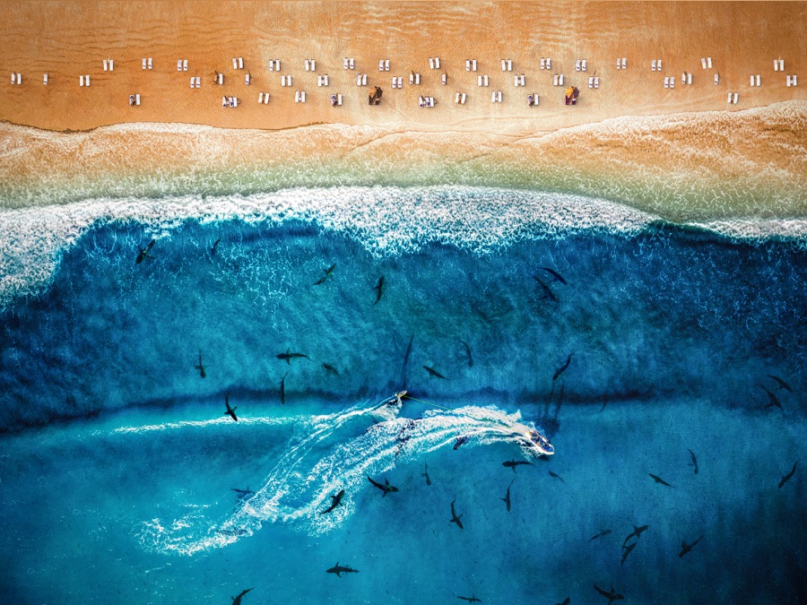 Monsters of the Cape - Apple TV