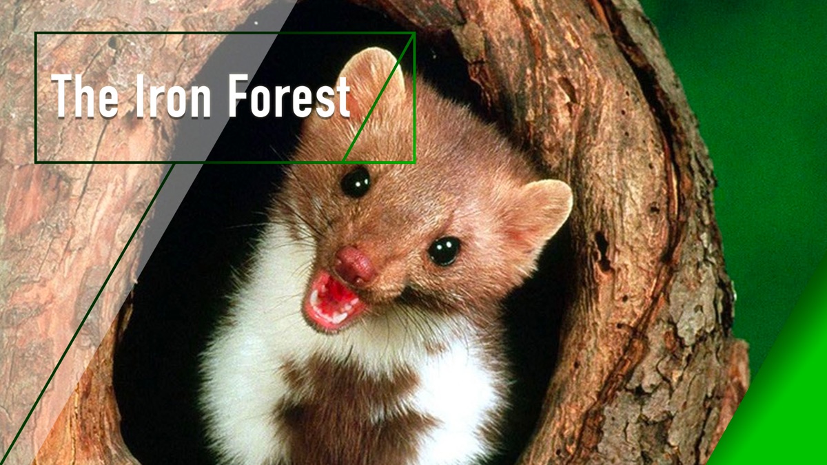 The Iron Forest - Apple TV