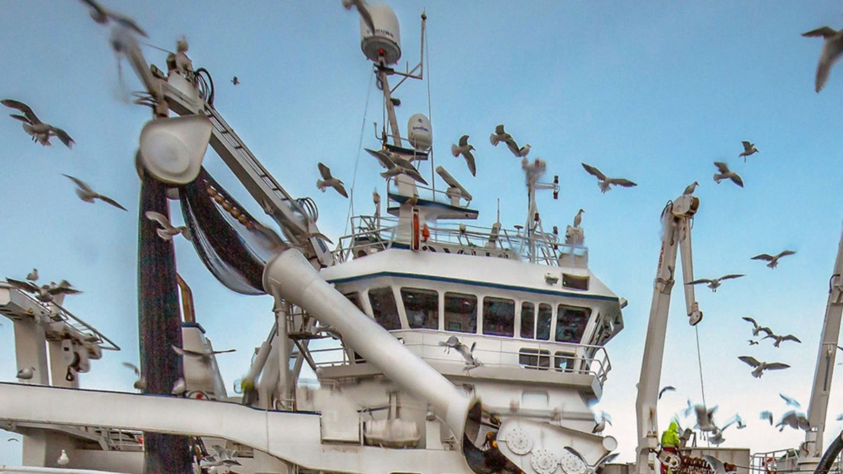 ‎Norvège : le festin des orques - Apple TV