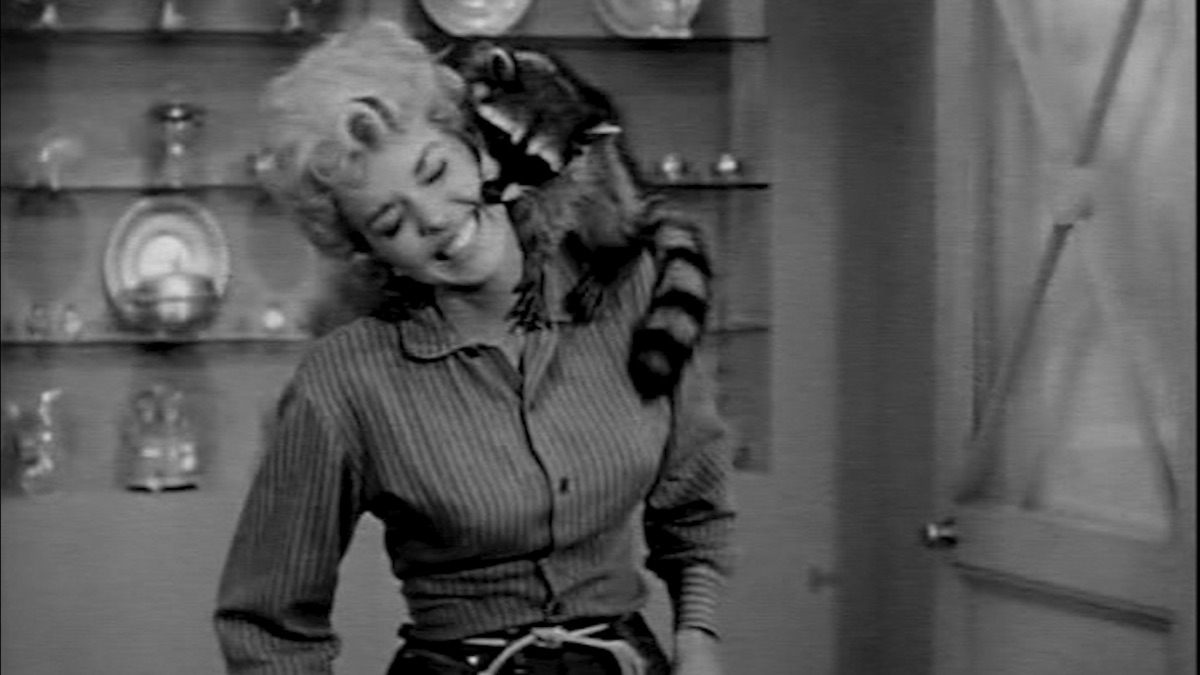 Chickadee Returns - The Beverly Hillbillies (Series 2, Episode 7 ...