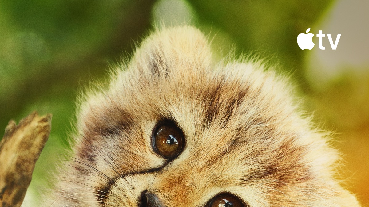 ‎Watch Born to Be Wild - Apple TV