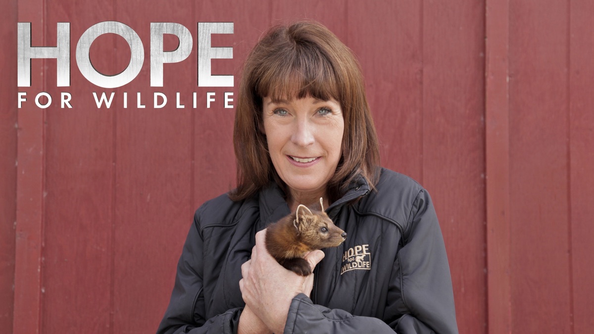 ‎Hope for Wildlife - Apple TV