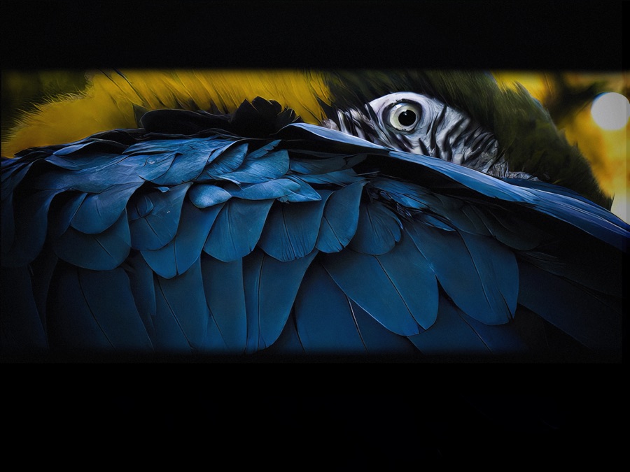 Wild Brazil - Apple TV