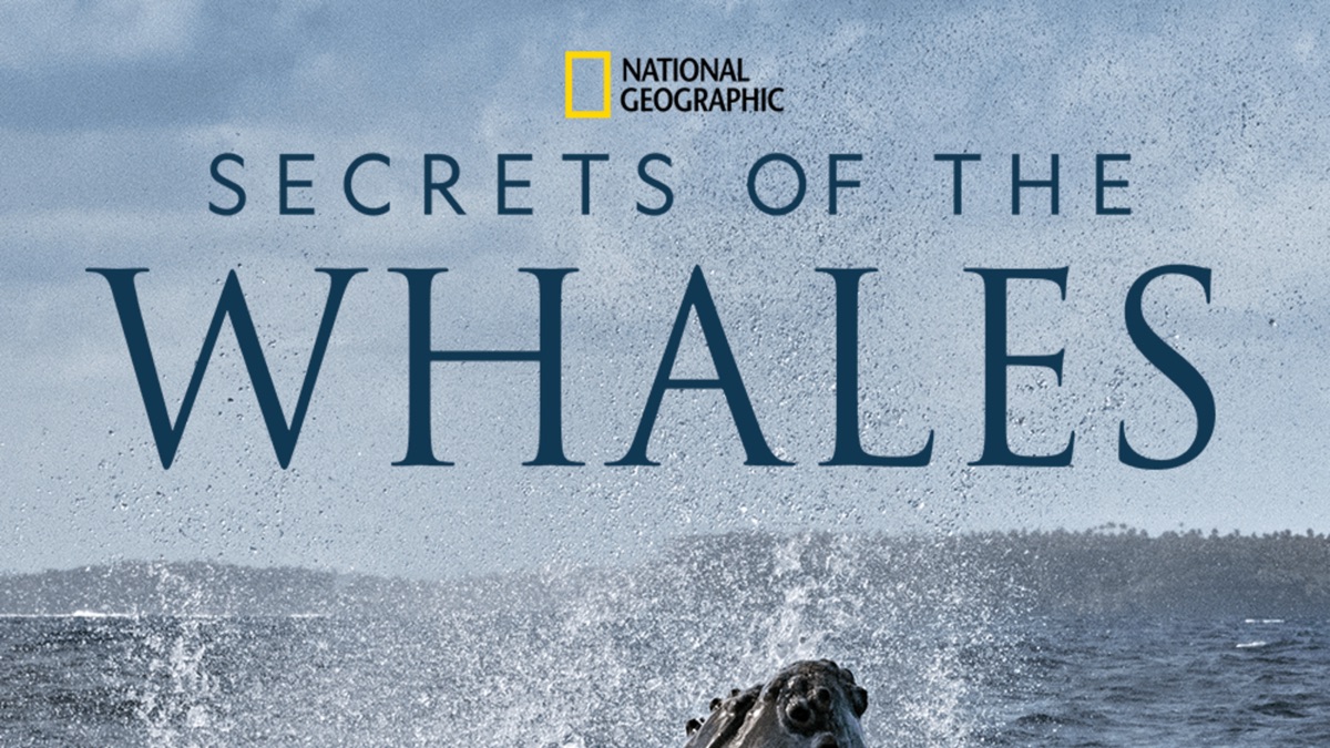 ‎Secrets of the Whales - Apple TV