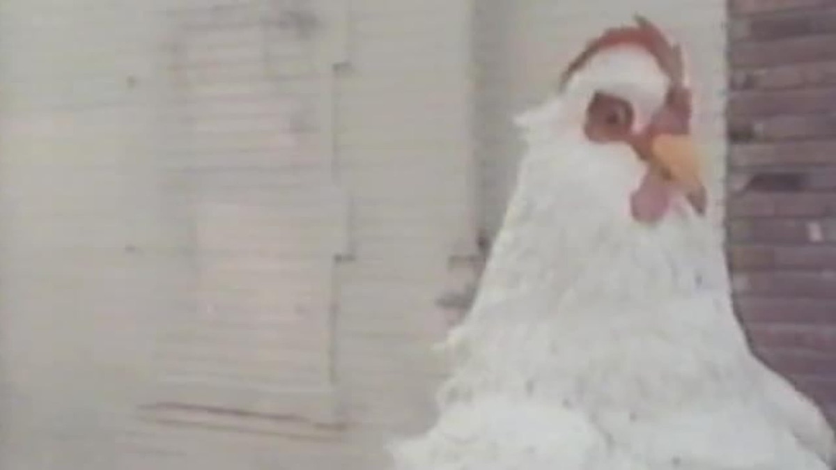 The Hoboken Chicken Emergency - Apple TV