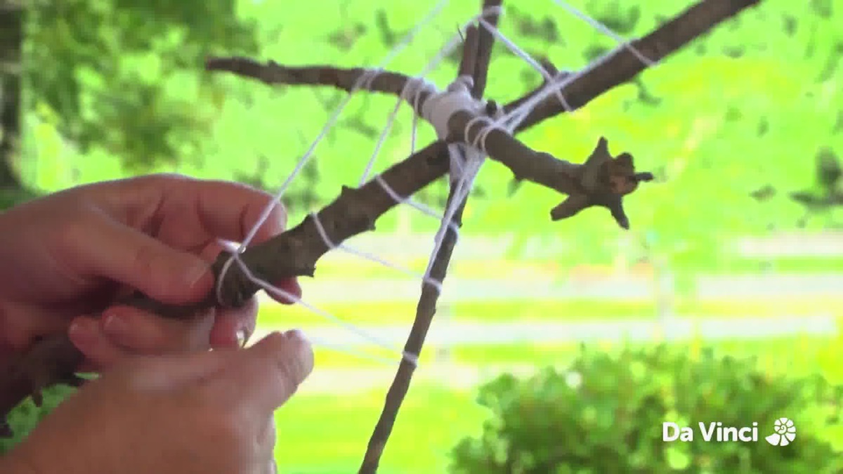 Darwin - Ice Turns Into Water - Darwin and Newts - Digital Makes ...