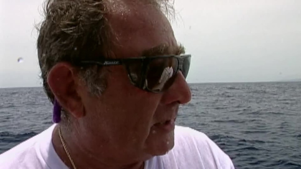 Blue Marlin Resurrection: Baja Billfish Release – Inside Sportfishing ...