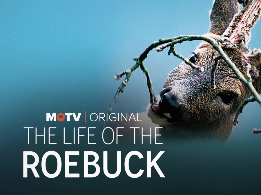 The Life of the Roebuck - Apple TV