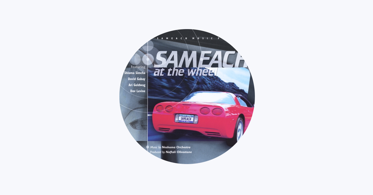 ‎Dovid Gabay, Ari Goldwag, Dov Levine & Shlomo Simcha - Apple Music