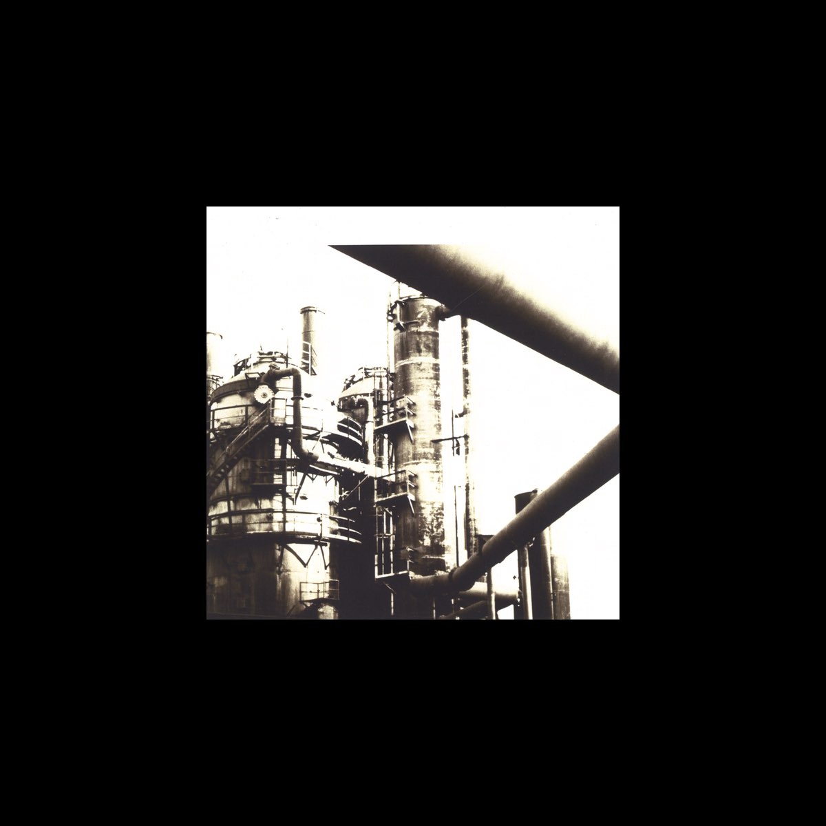 ‎A Night Of Unknown Death Or Life - Scroteのアルバム - Apple Music