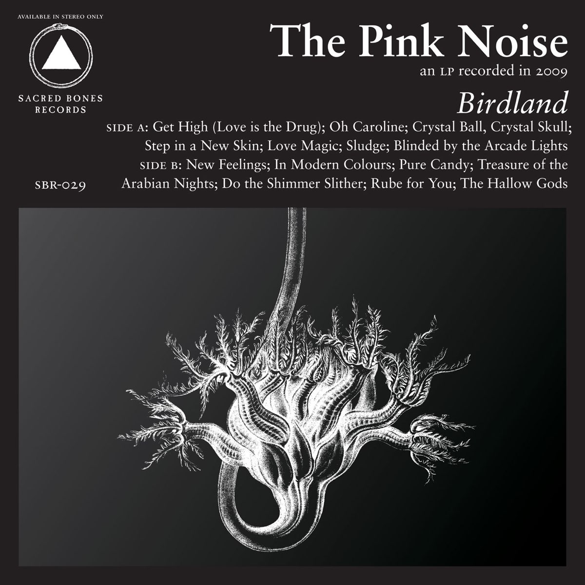 ‎Birdland - The Pink Noiseのアルバム - Apple Music