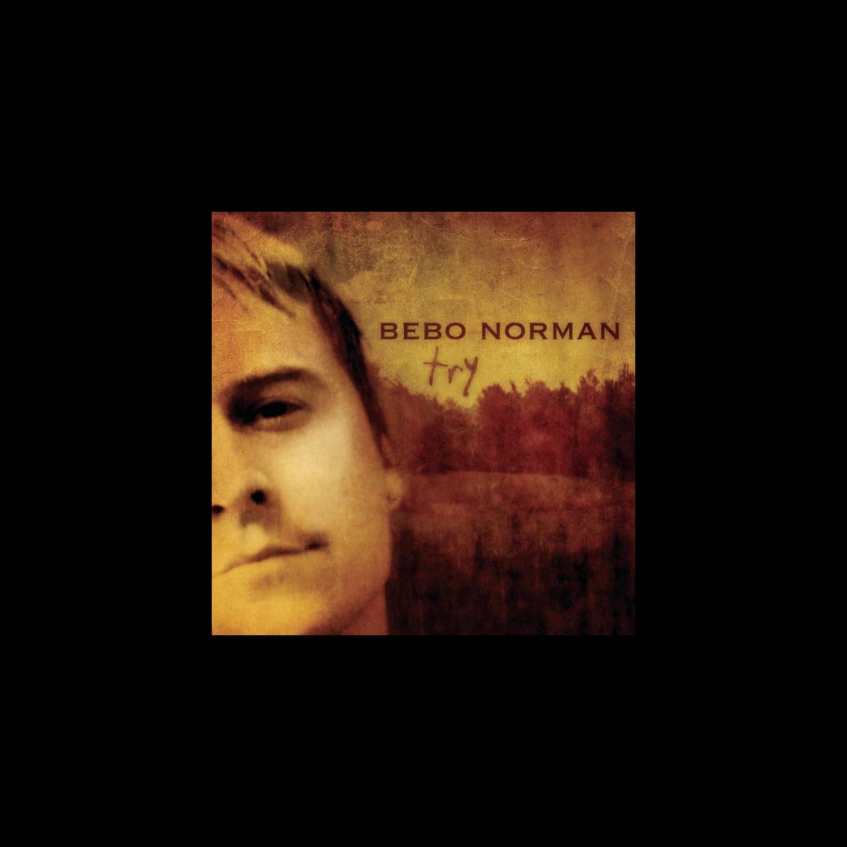 ‎Try - Album by Bebo Norman - Apple Music