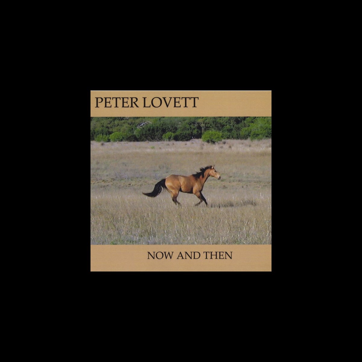 ‎Now and Then - Peter Lovett의 앨범 - Apple Music