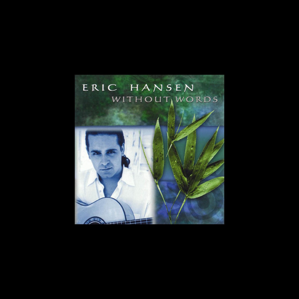‎Without Words - Album by Eric Hansen - Apple Music