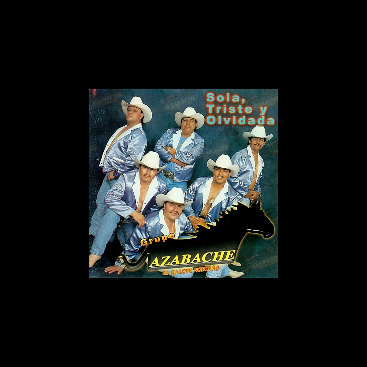 ‎Sola, Triste y Olvidada - Album by Conjunto Azabache - Apple Music