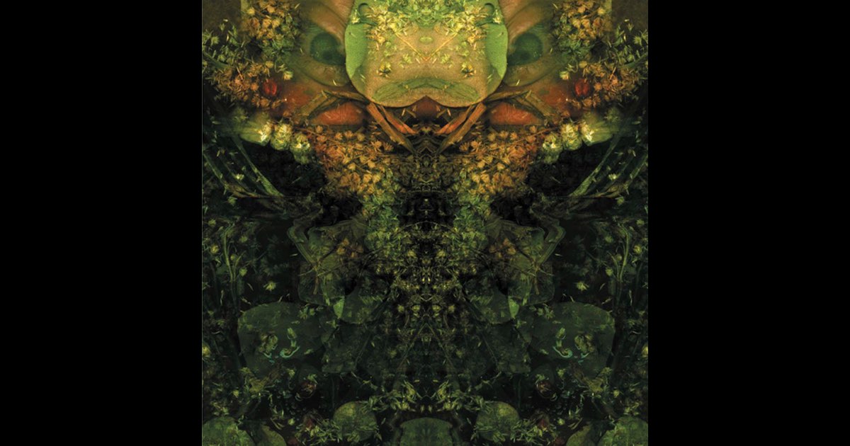 ‎Edward's Lament! - Album by House of Low Culture - Apple Music