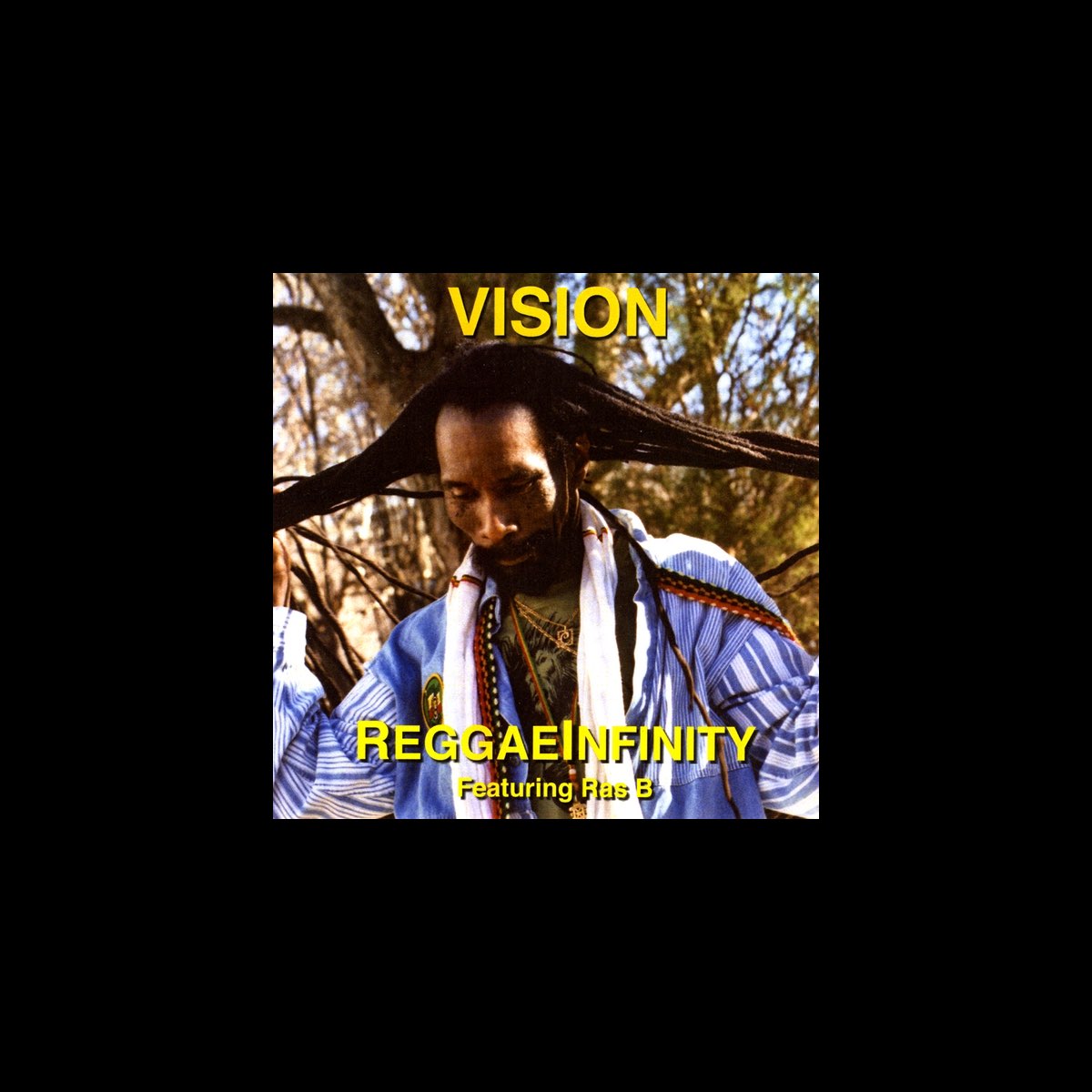 ‎Vision by Reggaeinfinity on Apple Music