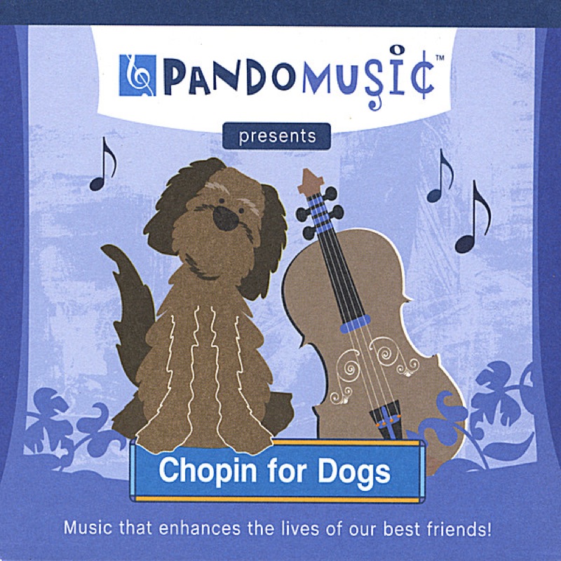 Andante Spianato, Op. 22 - Felix Pando: Song Lyrics, Music Videos ...