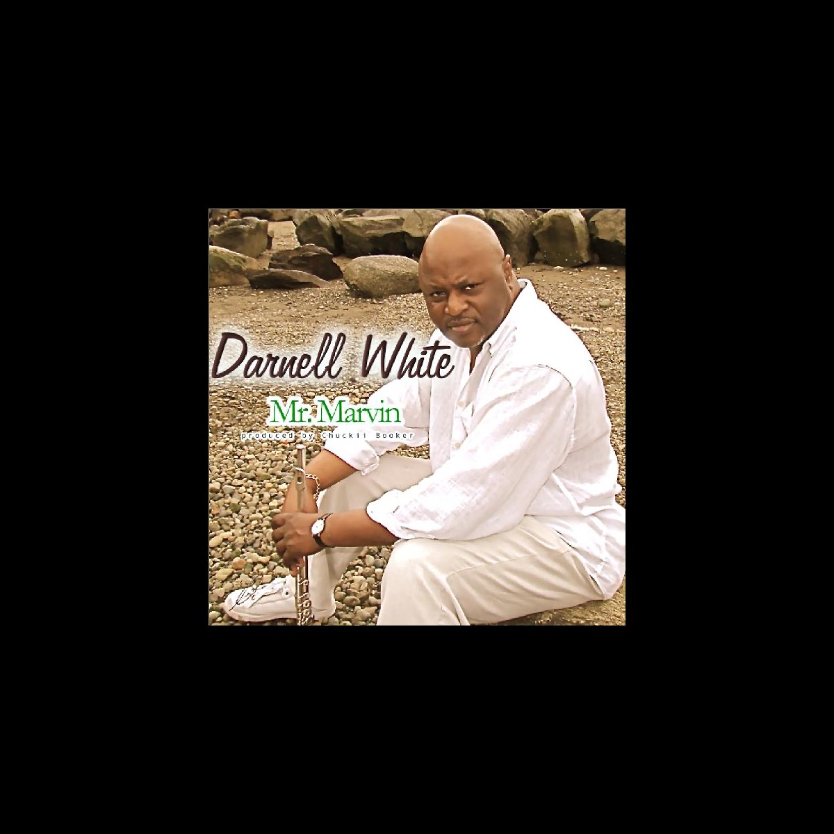 ‎Mr. Marvin (feat. Chuckii Booker) - Single by Darnell White on Apple Music