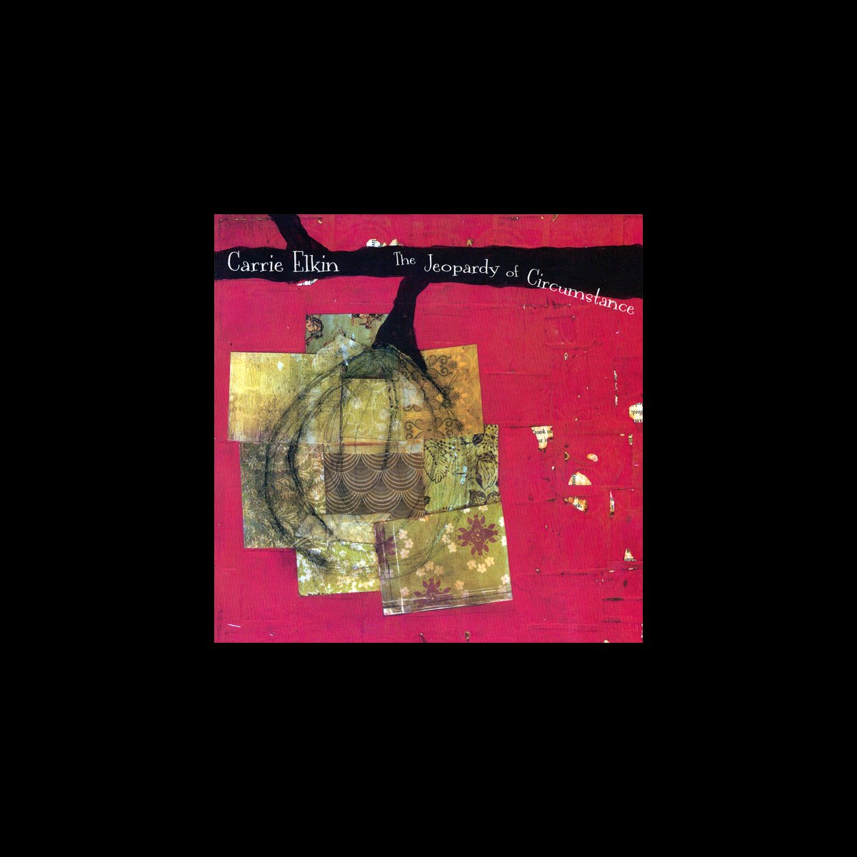 ‎The Jeopardy of Circumstance - Album by Carrie Elkin - Apple Music