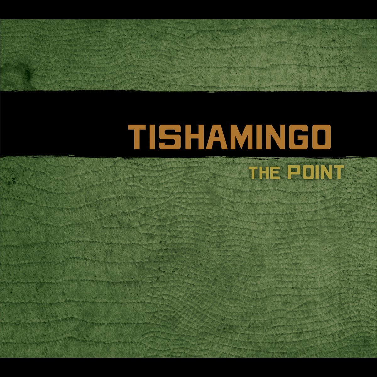 ‎The Point - Album by Tishamingo - Apple Music