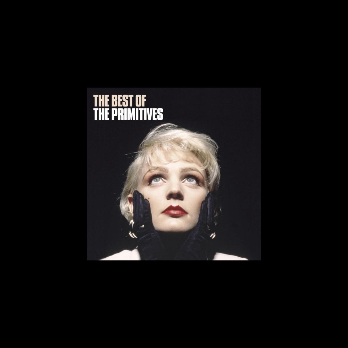 ‎The Best of The Primitives - Album by The Primitives - Apple Music