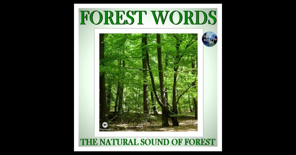 ‎The Natural Sound of Forest - Album by Forest Words - Apple Music