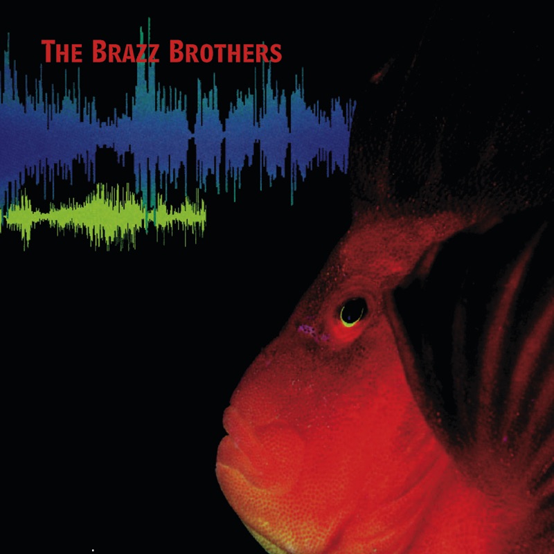 Lithodes Maia (Northern Stone Crab) - The Brazz Brothers: Song Lyrics ...