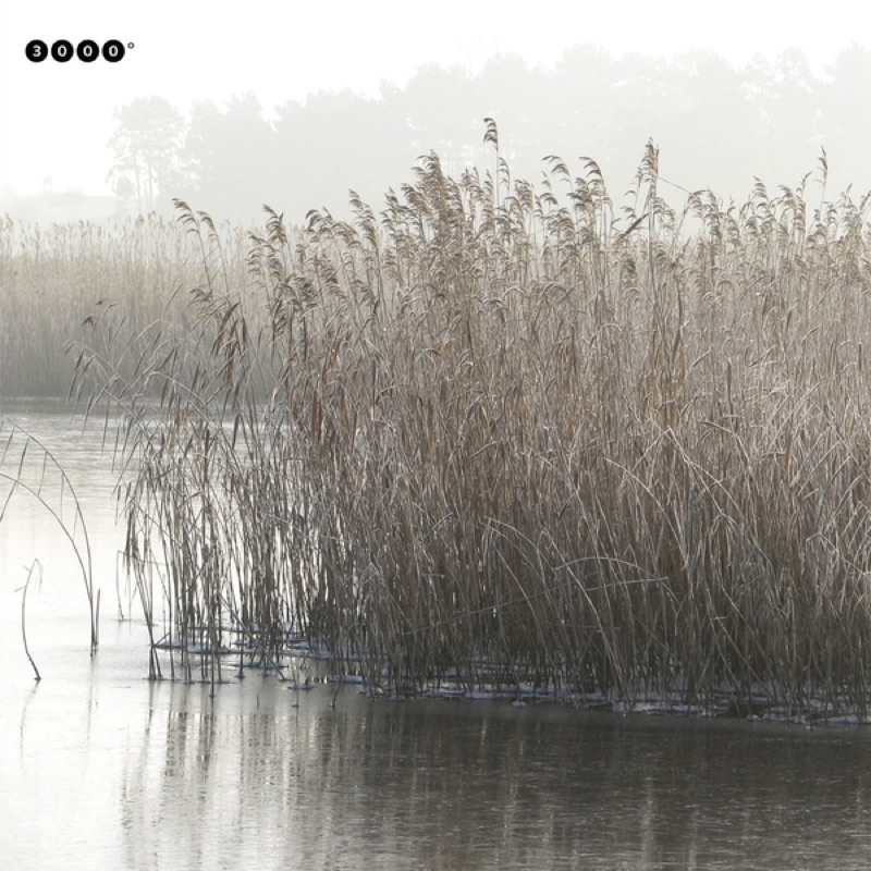 Call of Banganzwe (Live version) - Dreher & smart: Song Lyrics, Music ...