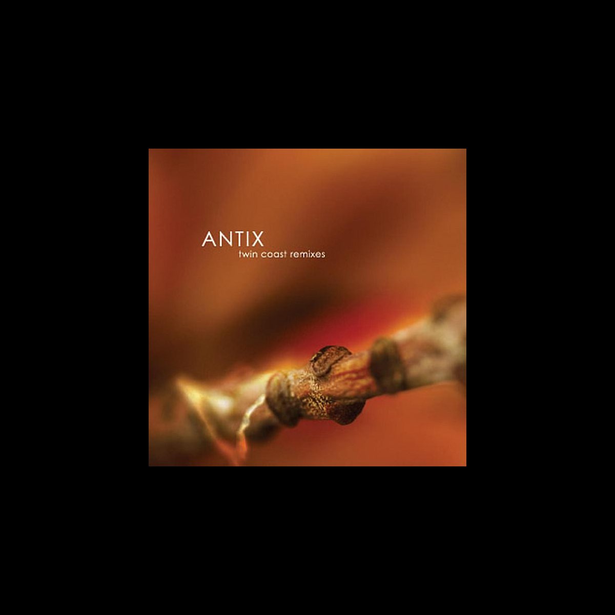 ‎Twin Coast Remixes - Album by Antix - Apple Music