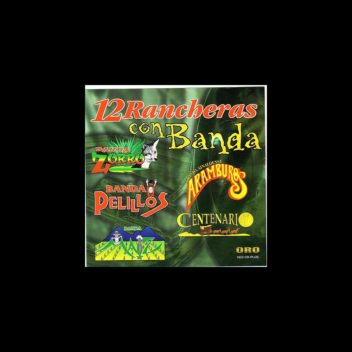 ‎12 Rancheras Con Banda - Album by Banda Zorro - Apple Music
