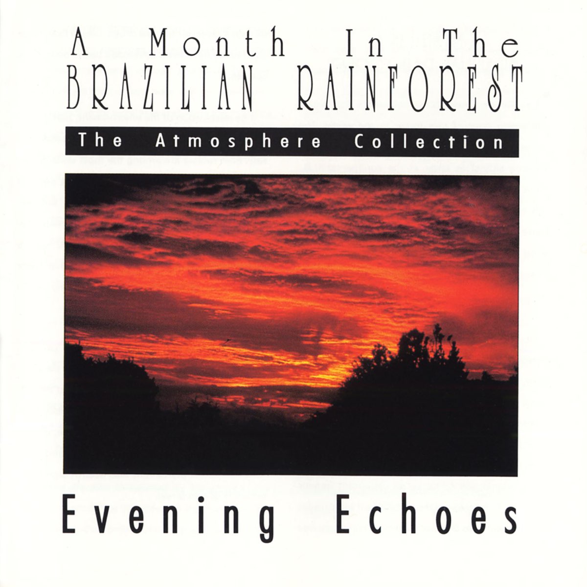 ‎A Month In the Brazilian Rainforest: Evening Echoes - EP - Album by ...