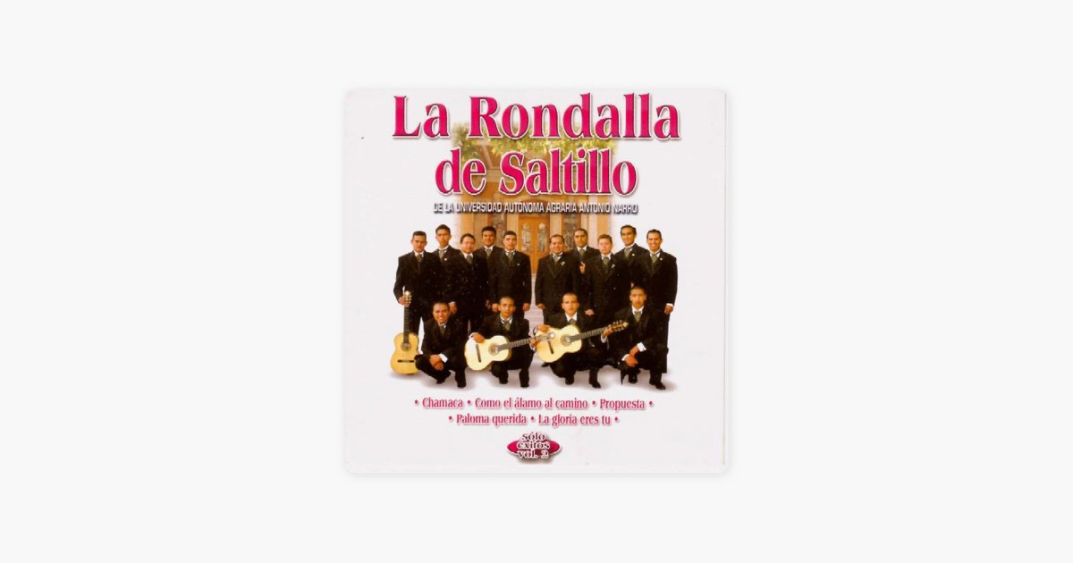 ‎Un Sonador Nada Mas - Song by La Rondalla de Saltillo - Apple Music
