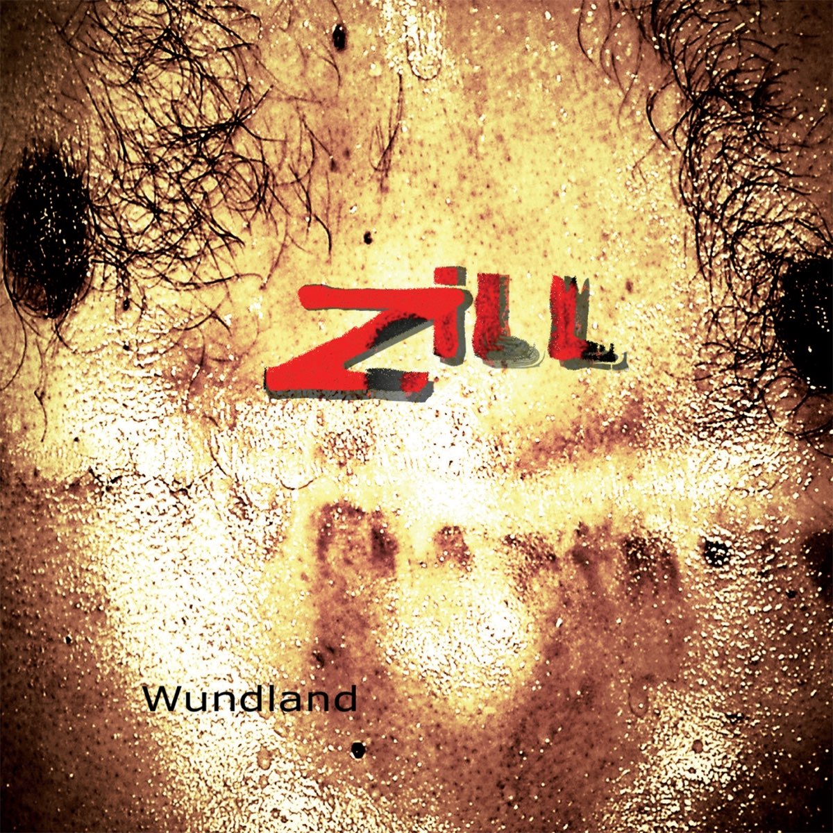 ‎Wundland - Album by Zill - Apple Music