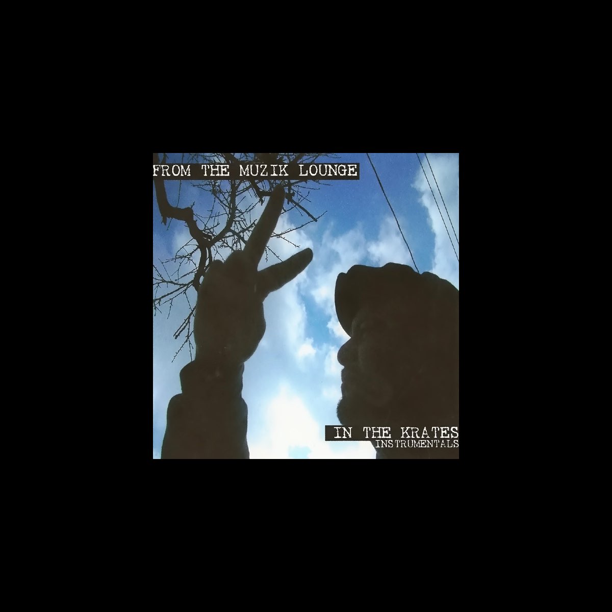 ‎In The Krates - Album by The Muzik Lounge - Apple Music