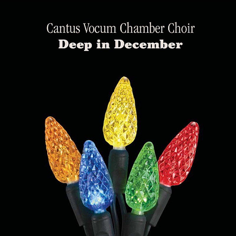 The Sleigh ( A la Russe) [feat. Cantus Vocum Chamber Choir] - Cantus ...