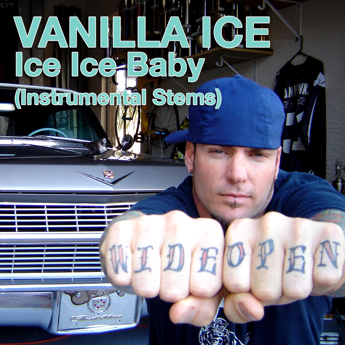 Vanilla Ice Album
