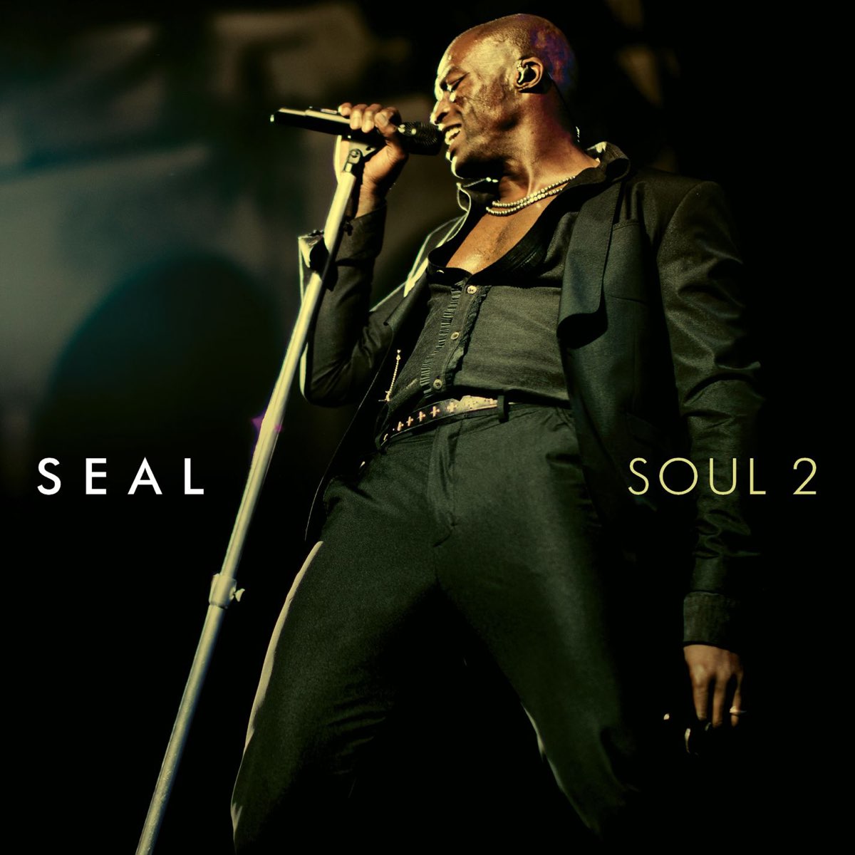 ‎Soul 2 (Deluxe Version) - シールのアルバム - Apple Music