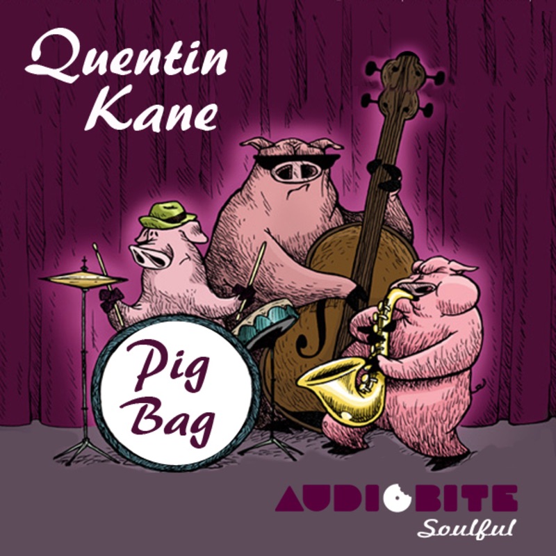 Pig Bag (QK's Sacred Disco Revival Mix) - Quentin Kane: Song Lyrics ...