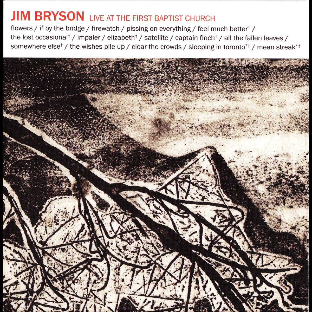 ‎Live At the First Baptist Church - Album by Jim Bryson - Apple Music