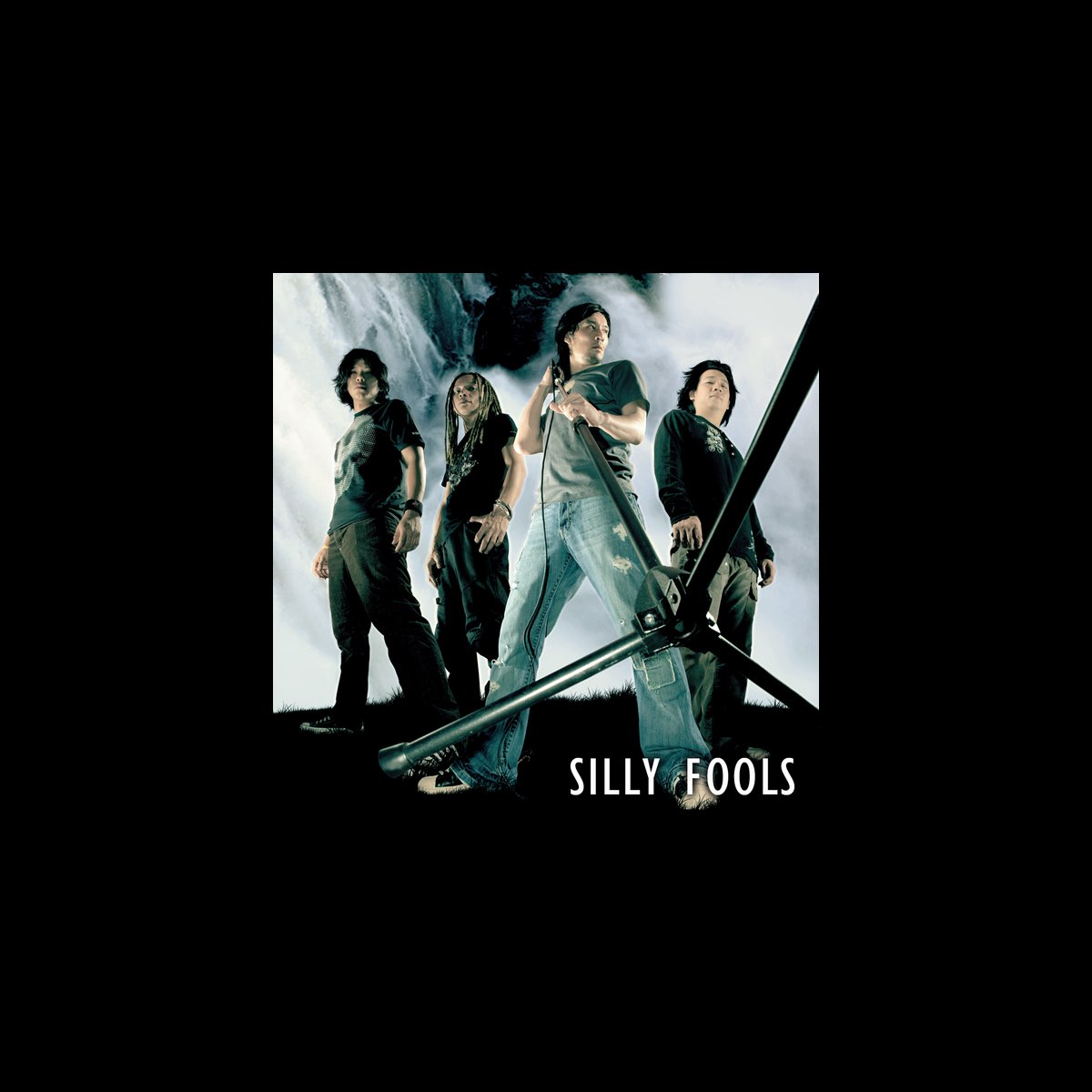 ‎Silly Fools - Album by Silly Fools - Apple Music
