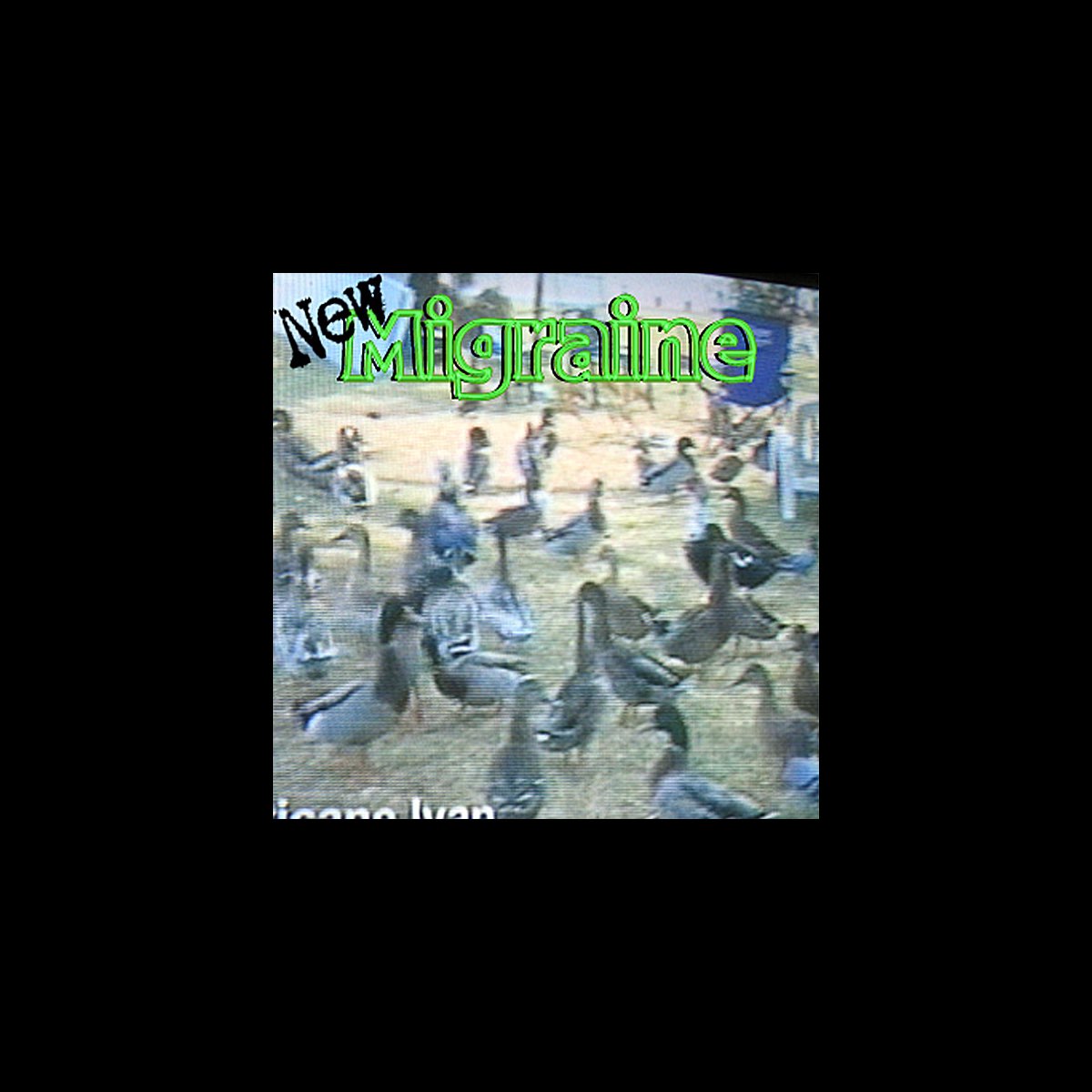 ‎Migraineの「161 - Ducks」をApple Musicで