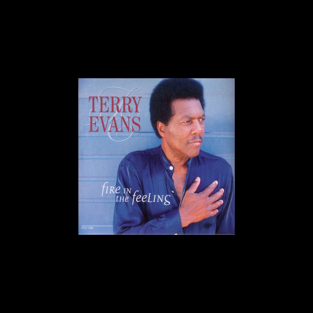 ‎Fire In the Feeling - Album by Terry Evans - Apple Music
