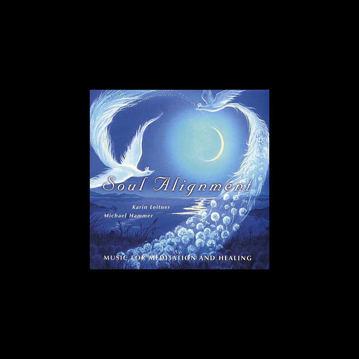 Soul Alignment》- Michael Hammer的专辑 - Apple Music